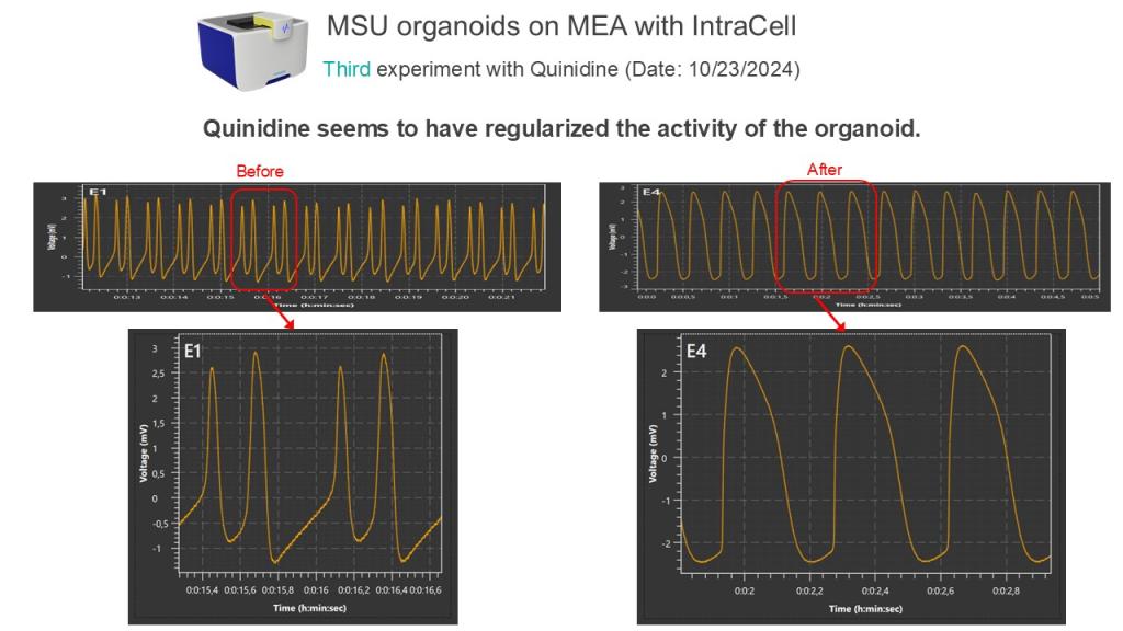 How Laser-Enabled MEA Technology Unlocks Action Potential Insights in Cardiac Organoids ...